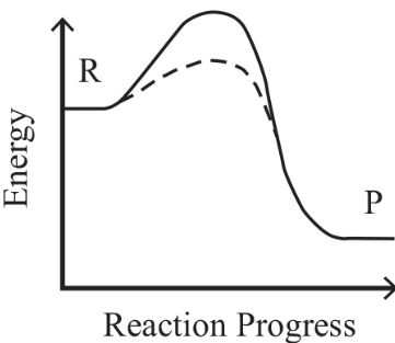 AP Biology Practice Test: Cellular Energetics_APstudy.net