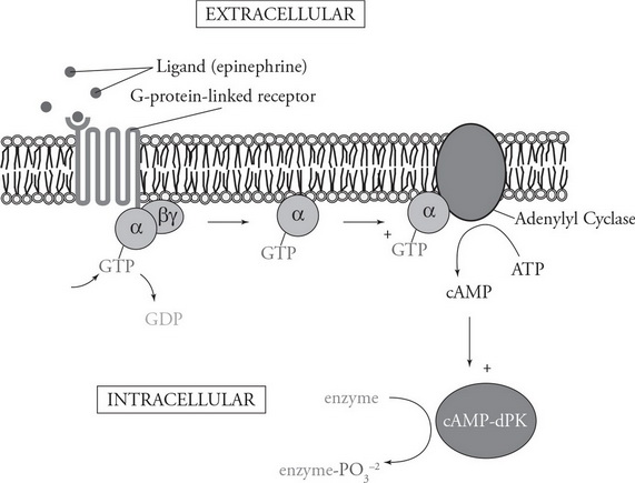 AP Biology Practice Test 5_APstudy.net
