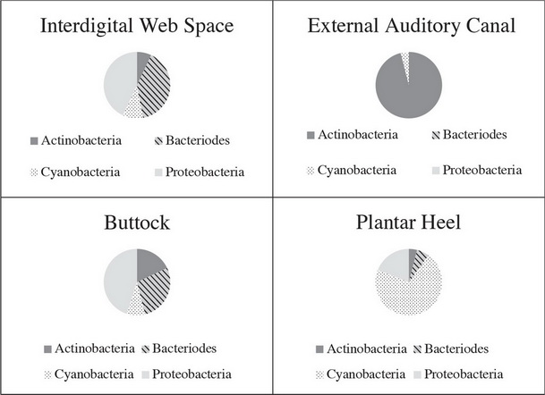 AP Biology Free-Response Practice Test 1_APstudy.net