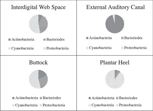 AP Biology Free-Response Practice Test 1_APstudy.net