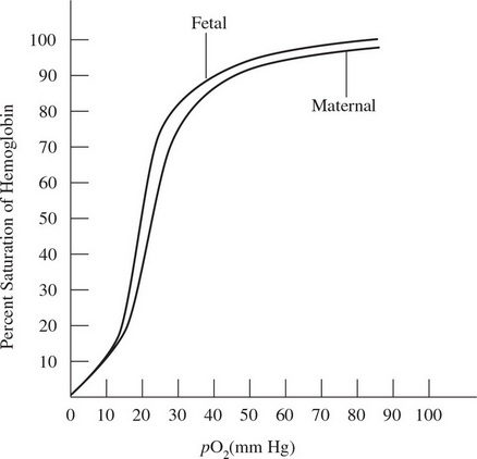AP Biology Practice Question 151: Answer and Explanation_APstudy.net