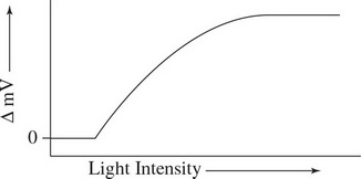 AP Biology Free-Response Practice Test 5_APstudy.net
