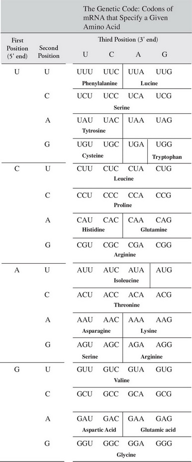 AP Biology Practice Question 261: Answer and Explanation_APstudy.net