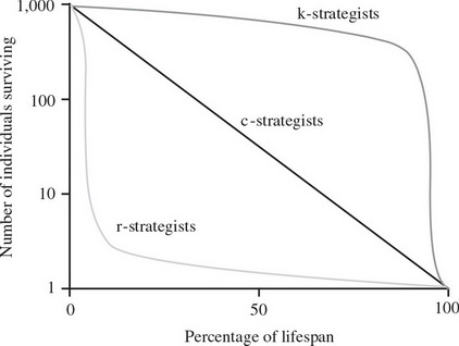 AP Biology Practice Question 309: Answer and Explanation_APstudy.net