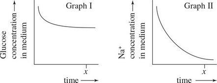 AP Biology Free-Response Practice Test 13_APstudy.net