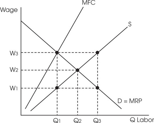 AP Microeconomics Practice Question 301: Answer and Explanation_APstudy.net